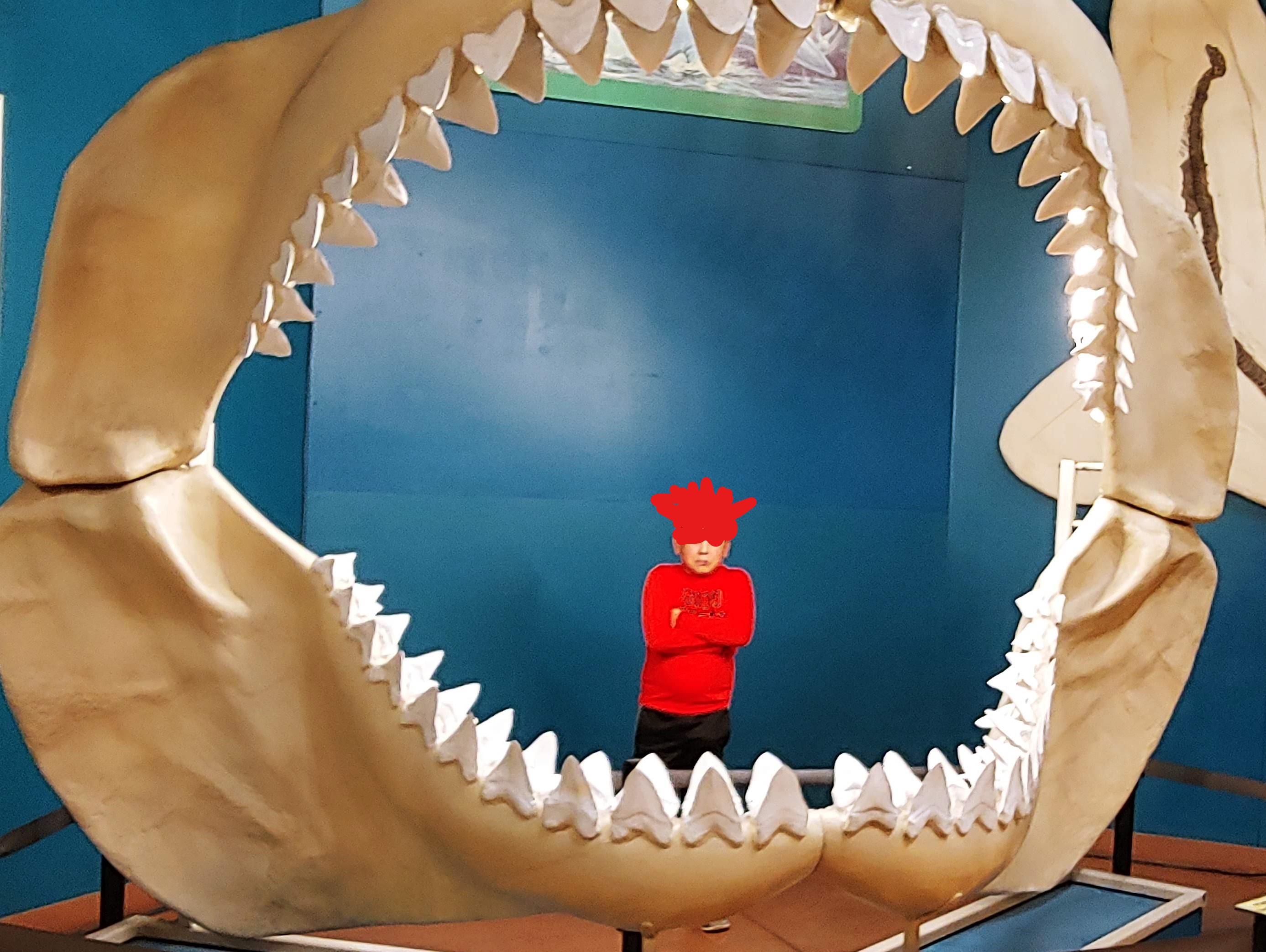 Long in the (Blue) tooth | Simply B